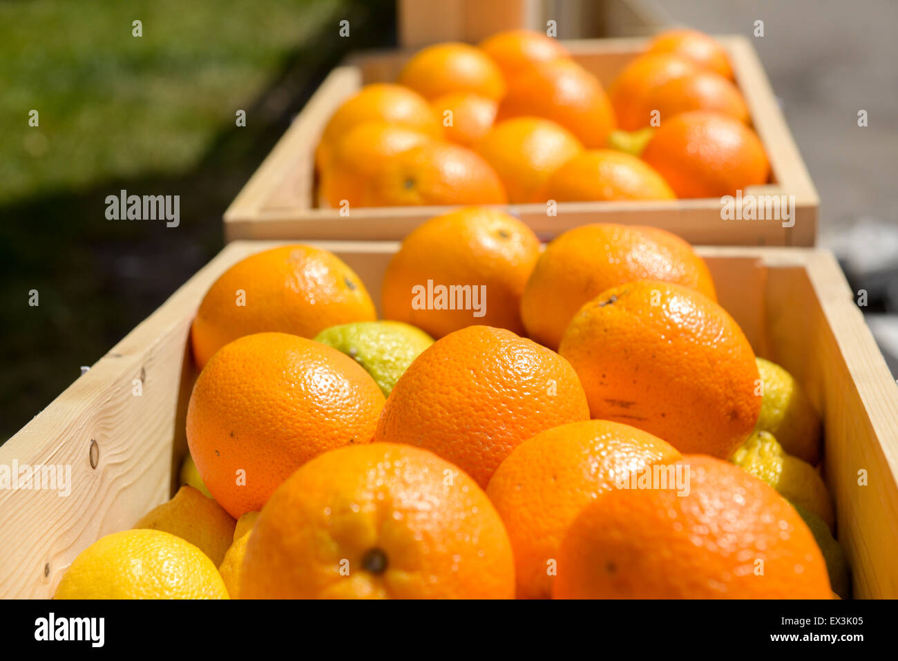 Box mandarin oranges hi-res stock photography and images - Alamy