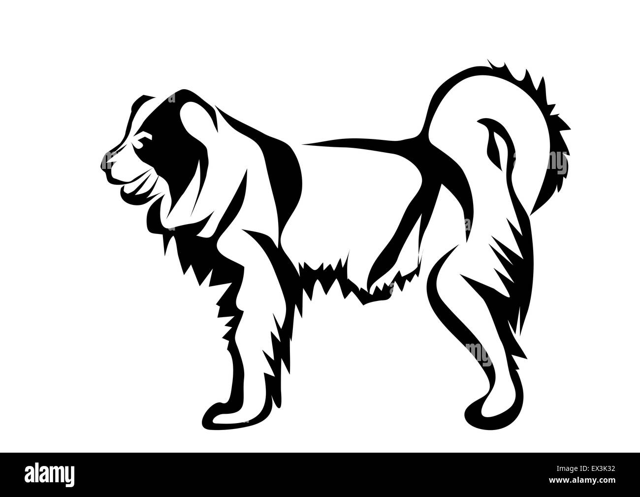 Caucasian shepherd dog Cut Out Stock Images & Pictures - Alamy