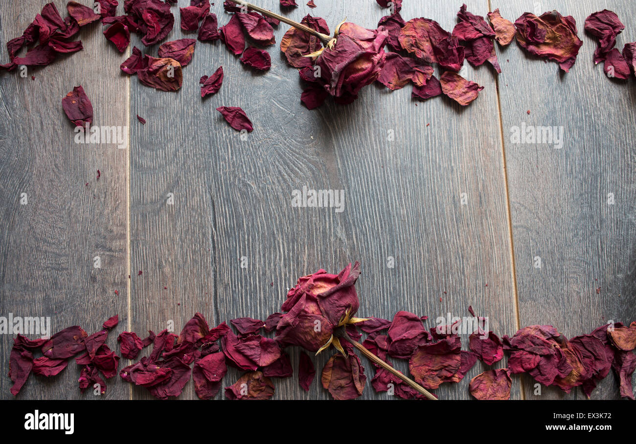 dry rose petals Stock Photo - Alamy