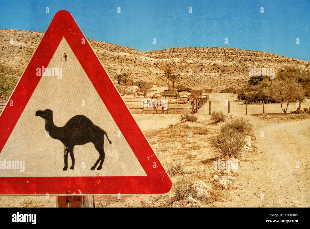 View of camel sign hi-res stock photography and images - Alamy