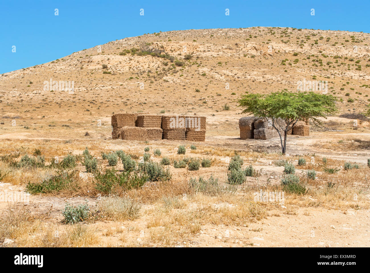 Desert landscape in Israel's Negev desert and bales of hay for animals ...