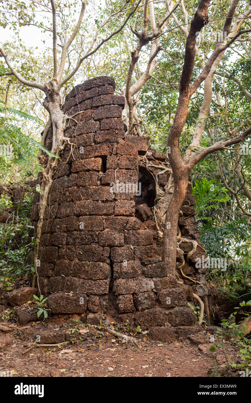 temple with giant banyan tree at sunset Stock Photo - Alamy
