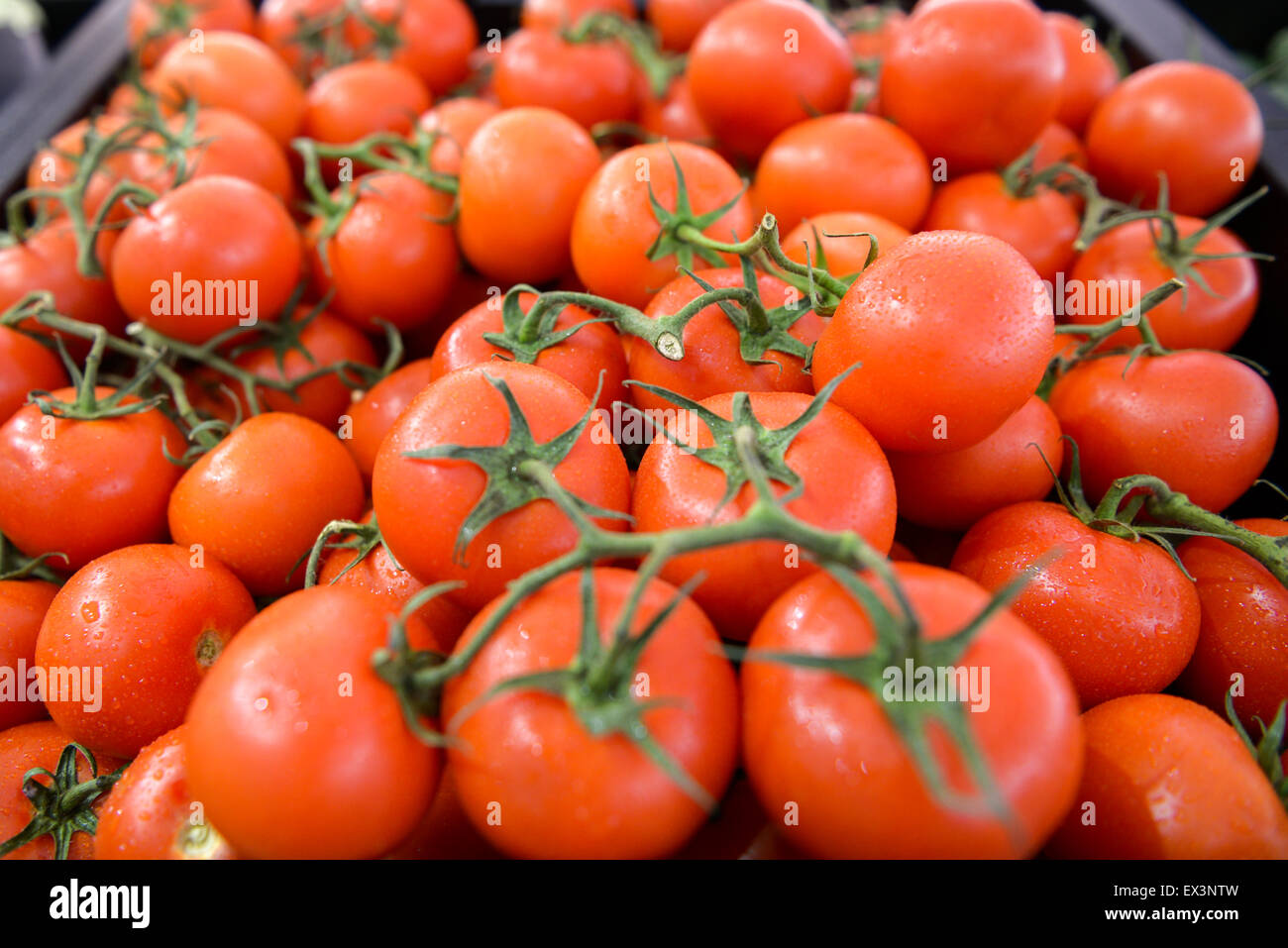 a lot of folded clean red tomatoes with green leafs Stock Photo - Alamy