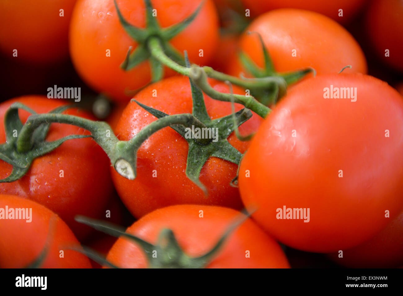 a lot of folded clean red tomatoes with green leafs Stock Photo - Alamy