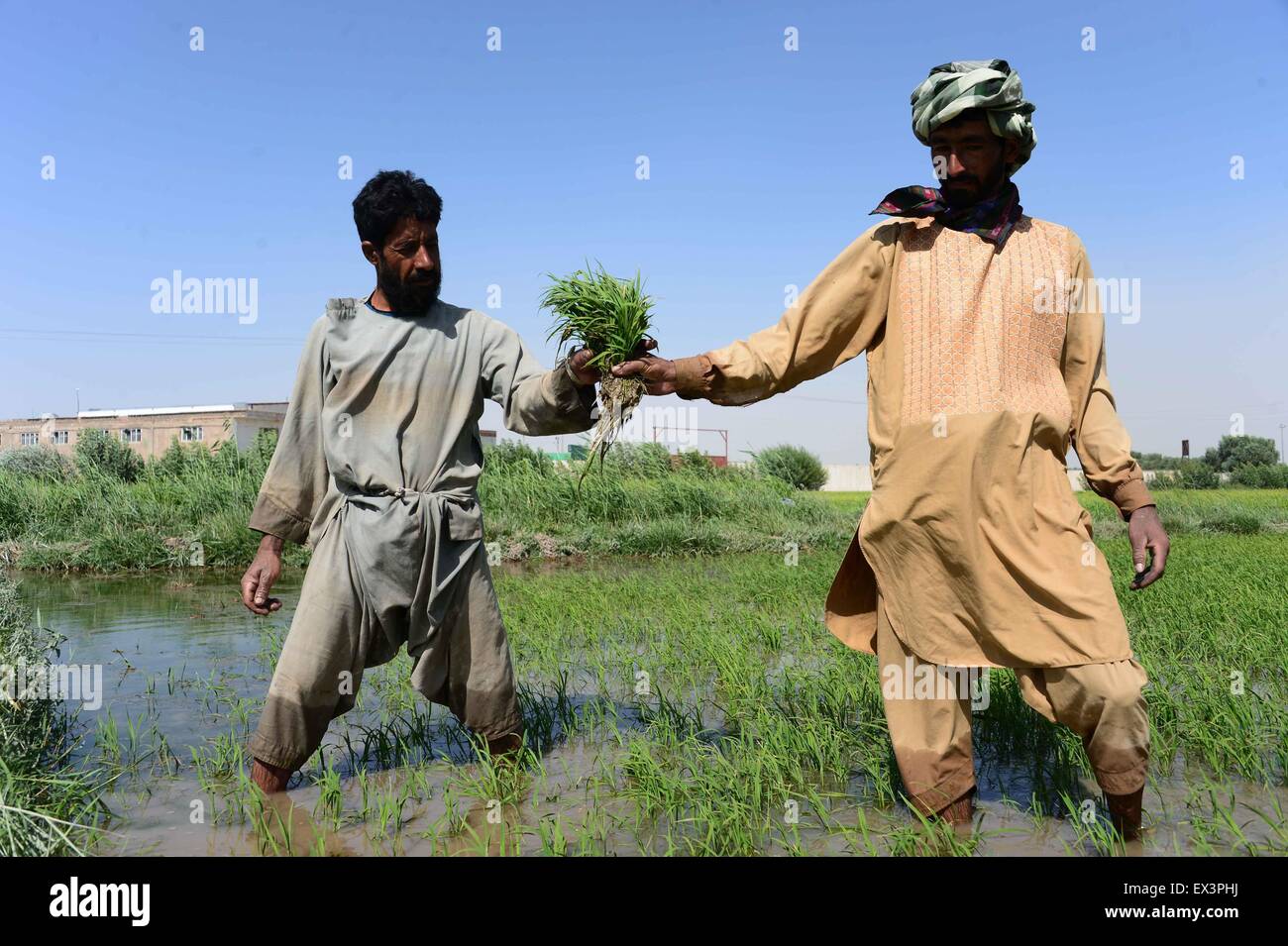 Afghan farmers hi-res stock photography and images - Alamy