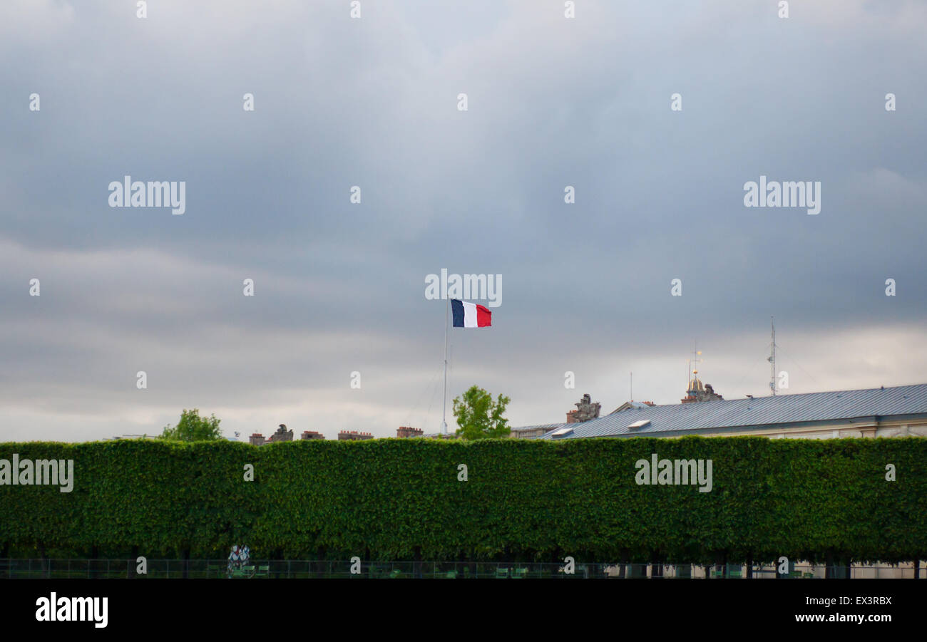 Freedom tree french revolution hi-res stock photography and images - Alamy