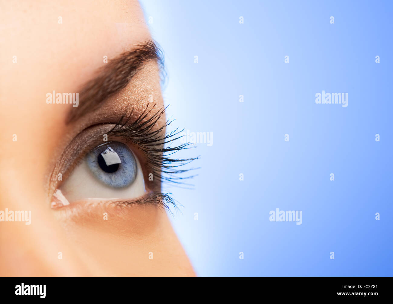 Human eye on blue background (shallow DoF Stock Photo - Alamy