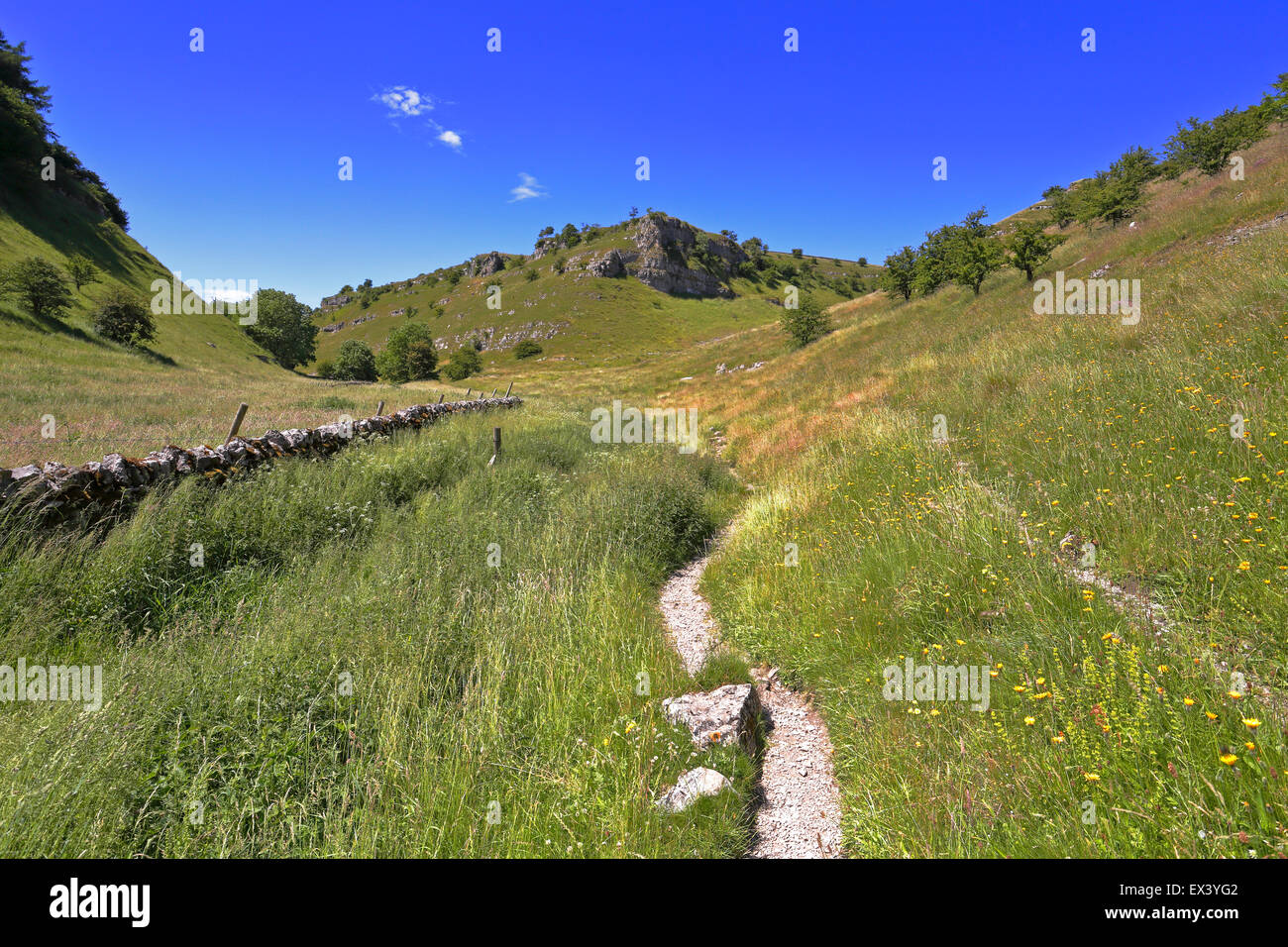 Lathkill Dale dry valley, Peak District National Park, Derbyshire ...