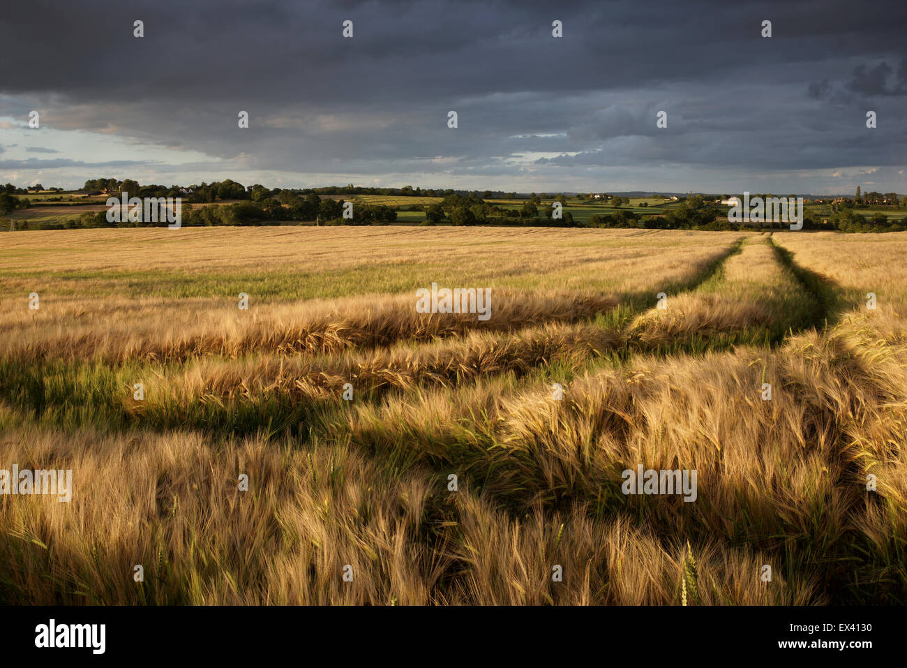 Beautiful English rural scenery near Tasley, Bridgnorth, Shropshire, UK ...