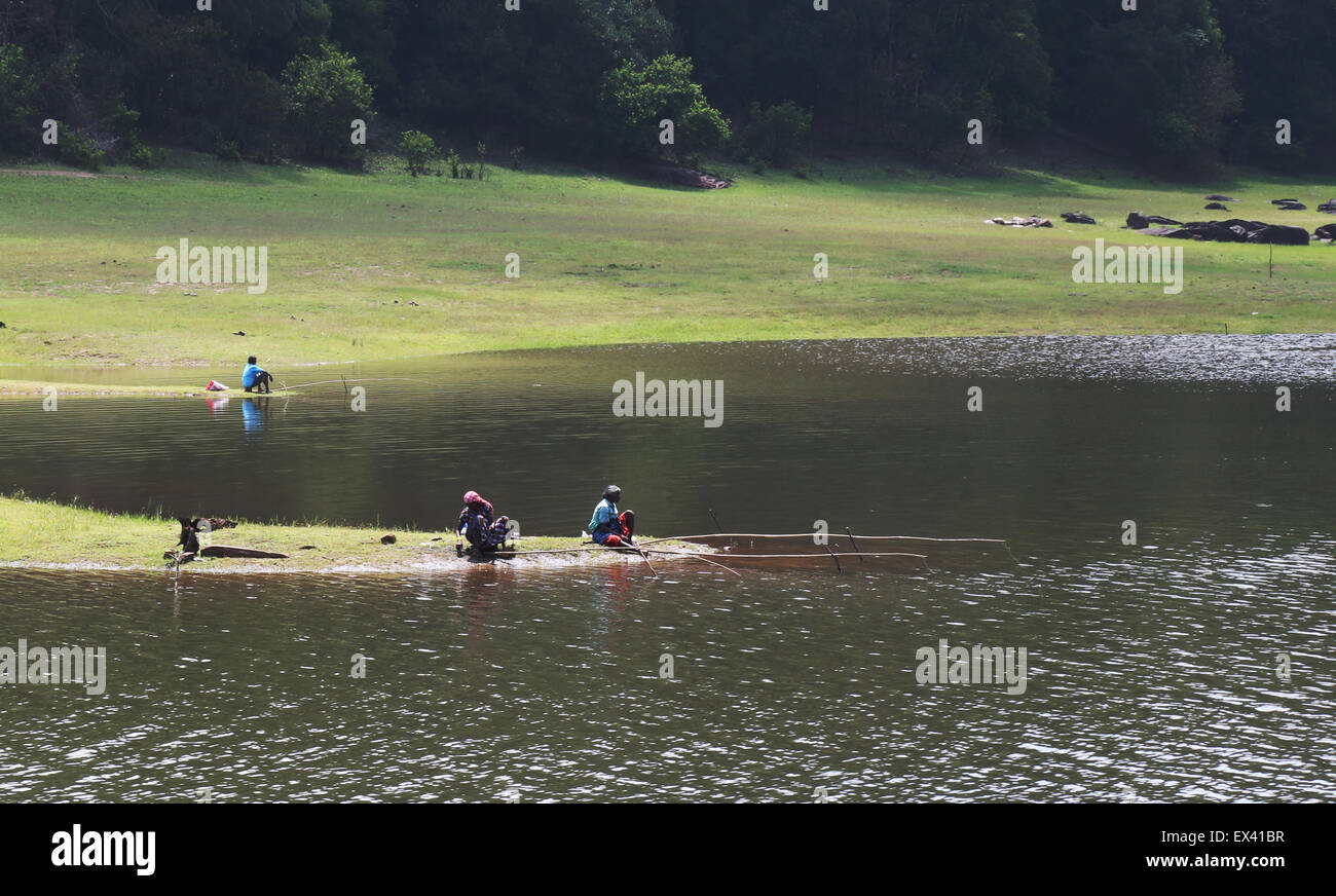 Tribal women fishing on the bank of the Thekkady Lake, along the ...