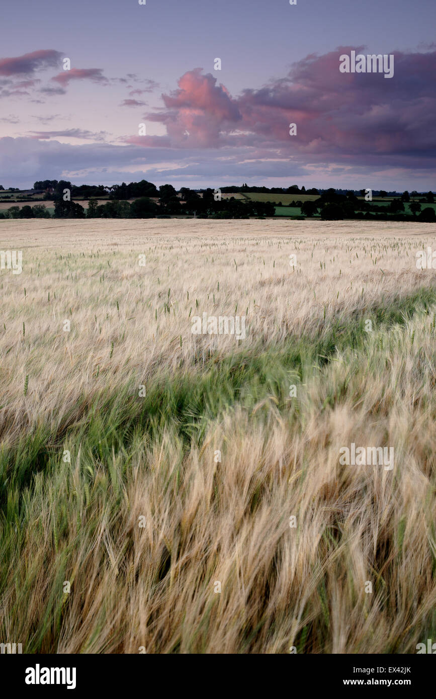 Beautiful English rural scenery near Tasley, Bridgnorth, Shropshire, UK ...