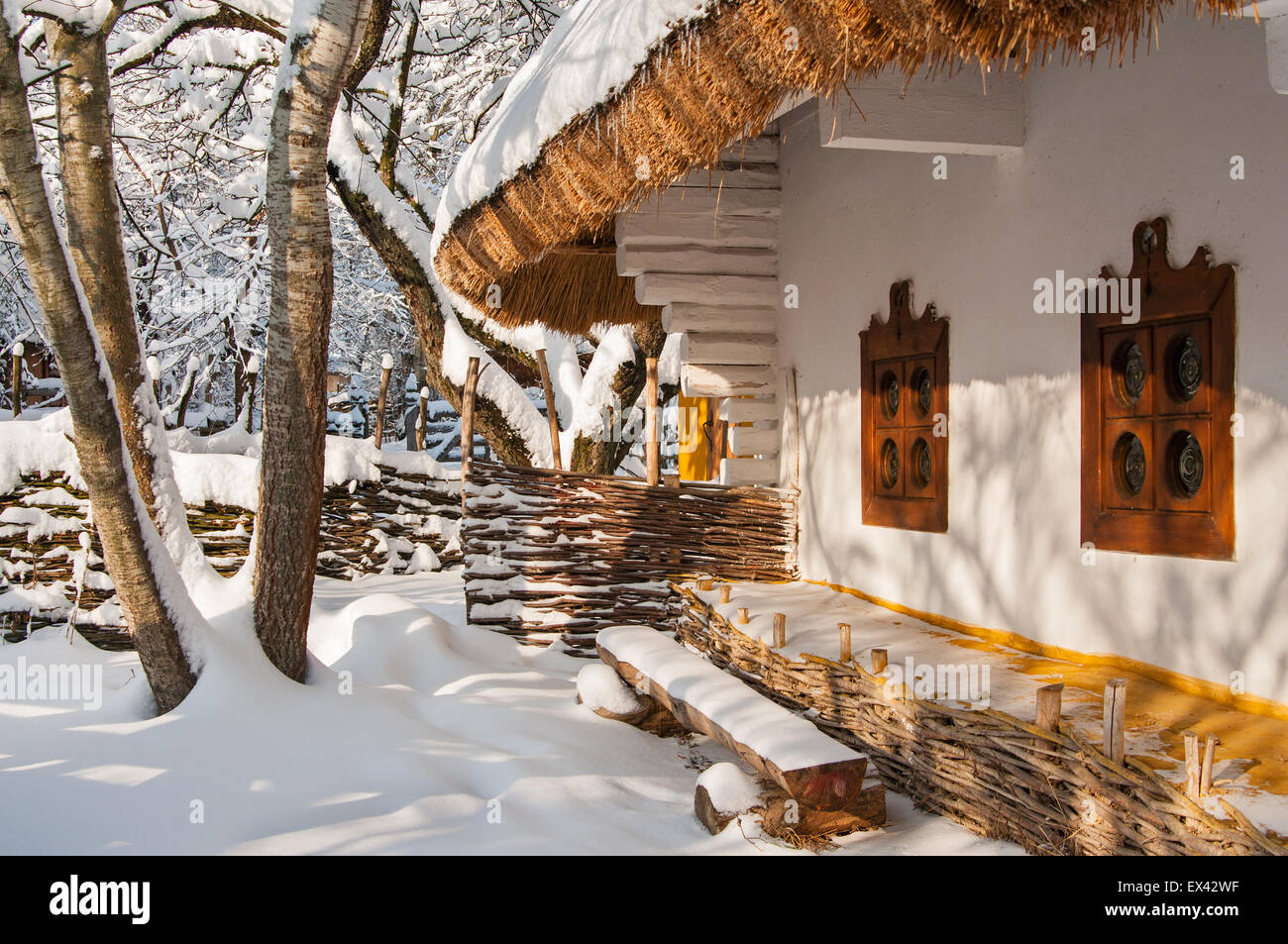 Cabin tree house hi-res stock photography and images - Alamy
