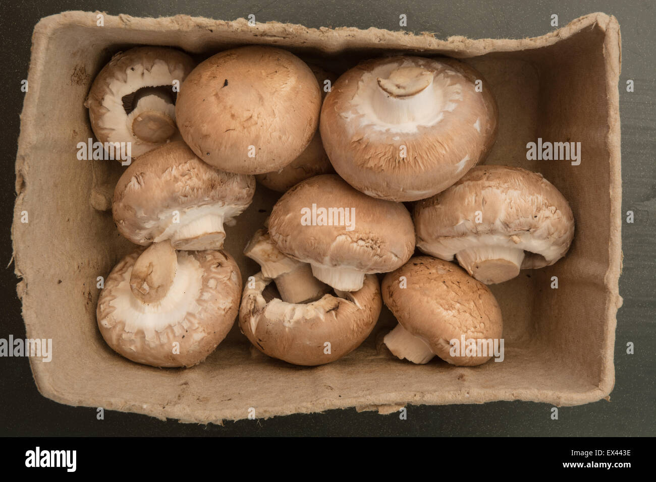 Box with mushrooms hi-res stock photography and images - Alamy
