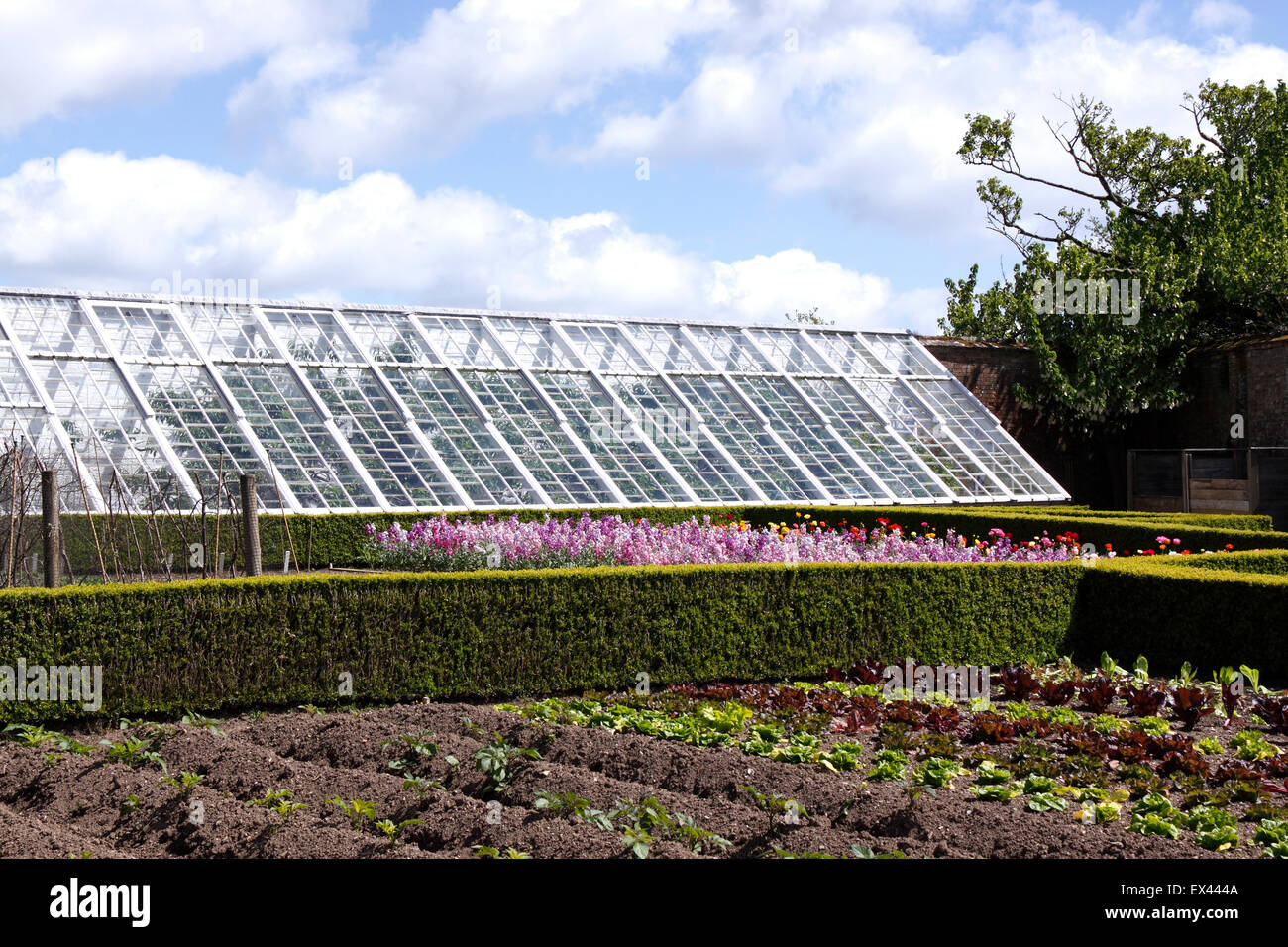 Lost gardens of heligan cornwall sun hi-res stock photography and ...