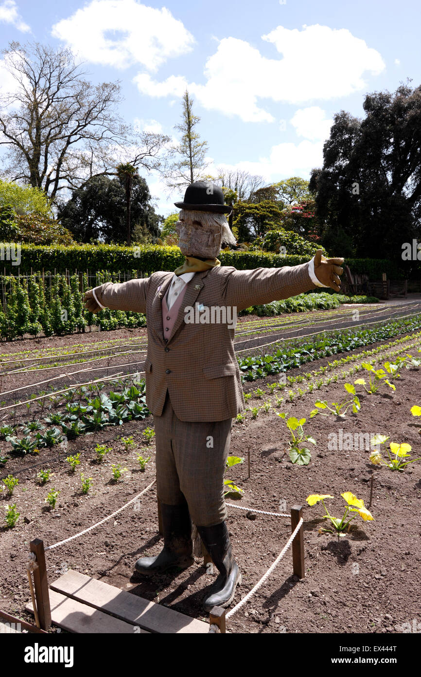 SCARECROW IN THE VICTORIAN WALLED GARDEN. LOST GARDENS OF HELIGAN ...
