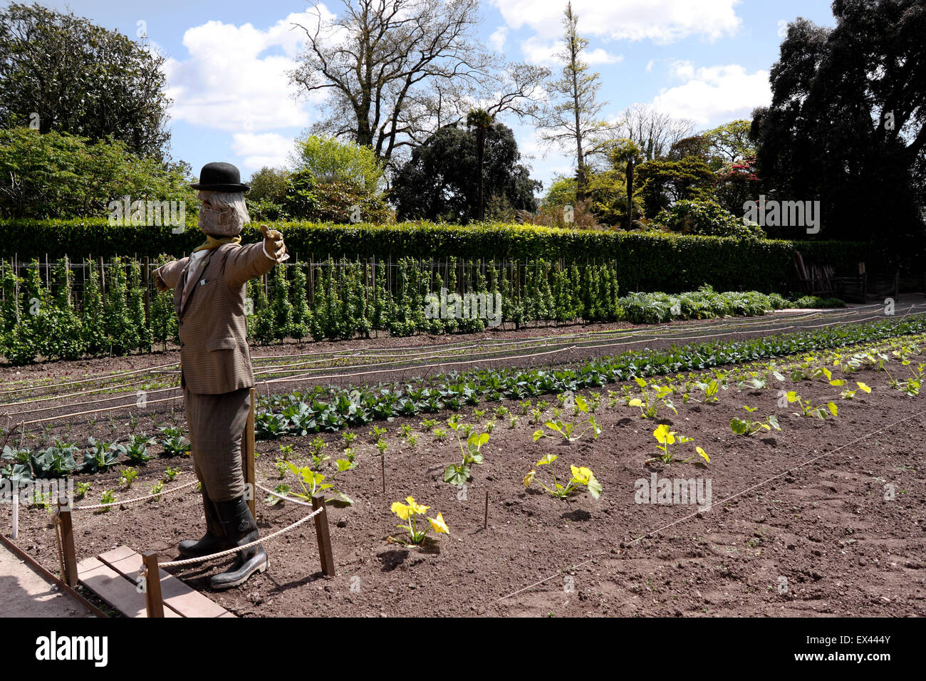 Victorian scarecrow hi-res stock photography and images - Alamy