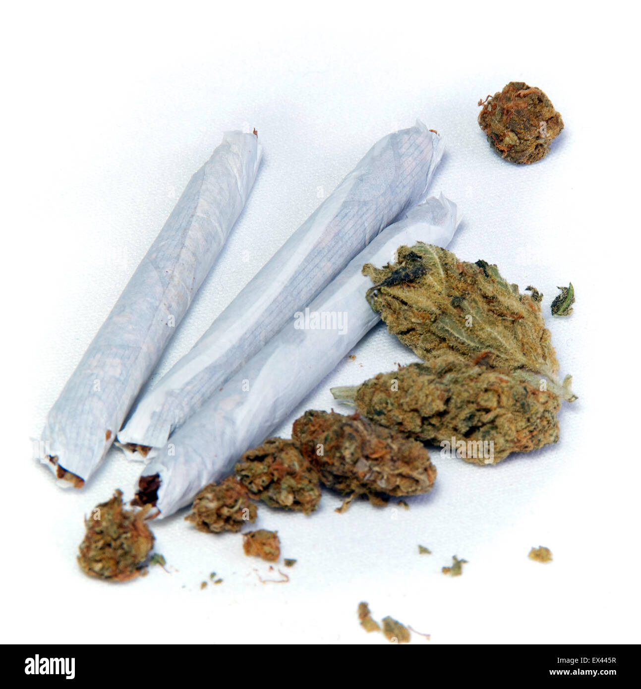 Buds as cluster Cut Out Stock Images & Pictures - Alamy