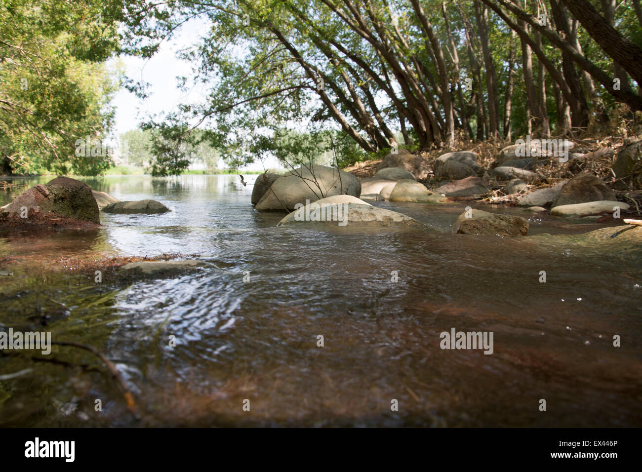 Larger lake hi-res stock photography and images - Alamy