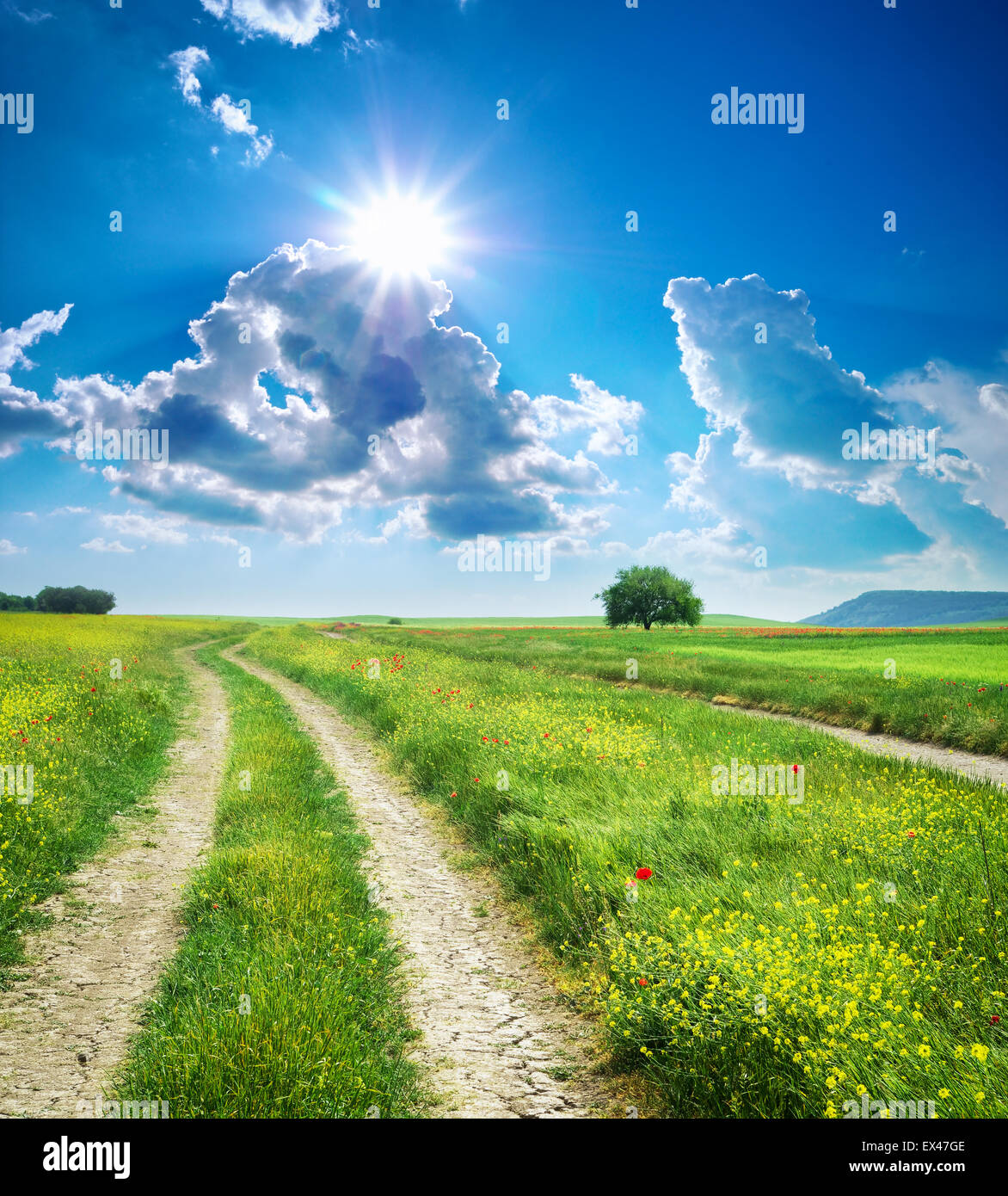 Road lane and deep blue sky. Nature design Stock Photo - Alamy