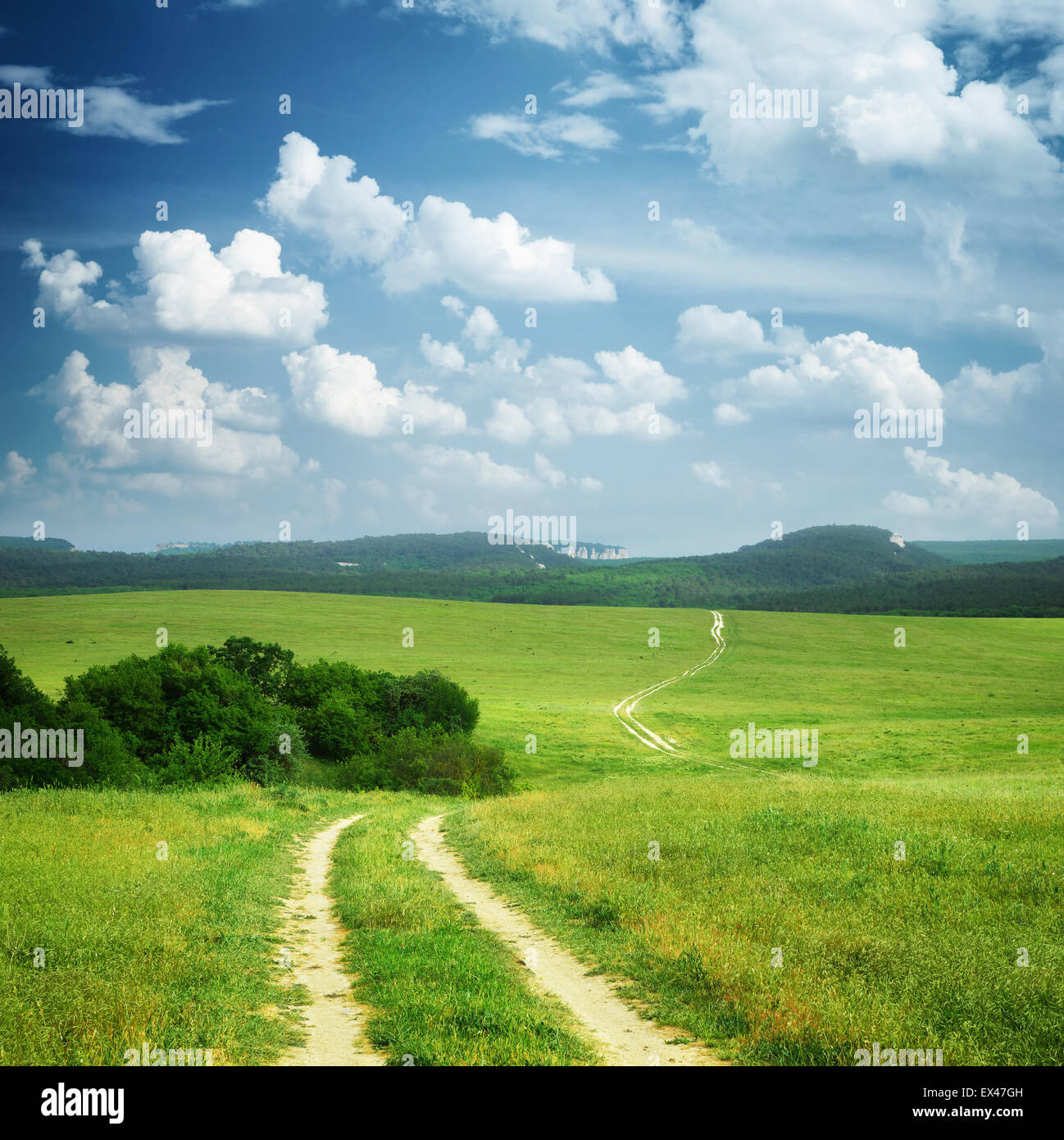 Roan tree hi-res stock photography and images - Alamy