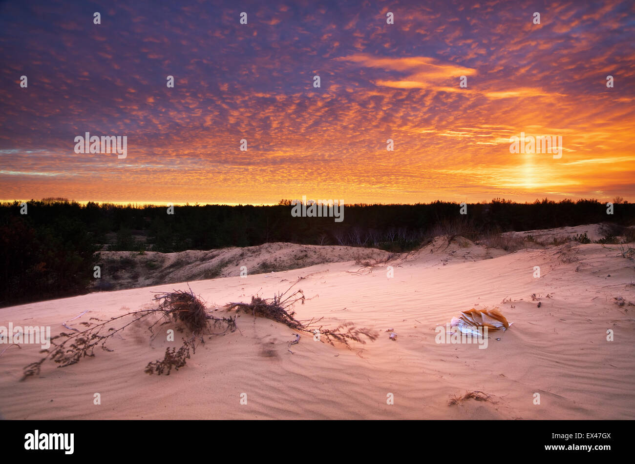 Beautiful landscape in desert. Composition of nature Stock Photo - Alamy