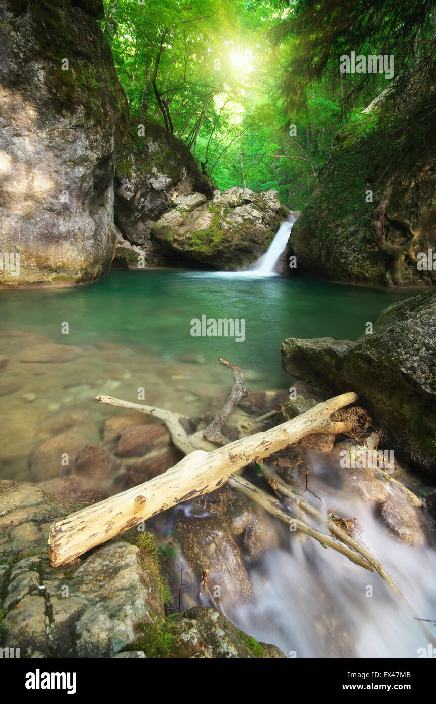 Spring rill flow. Nature composition Stock Photo - Alamy