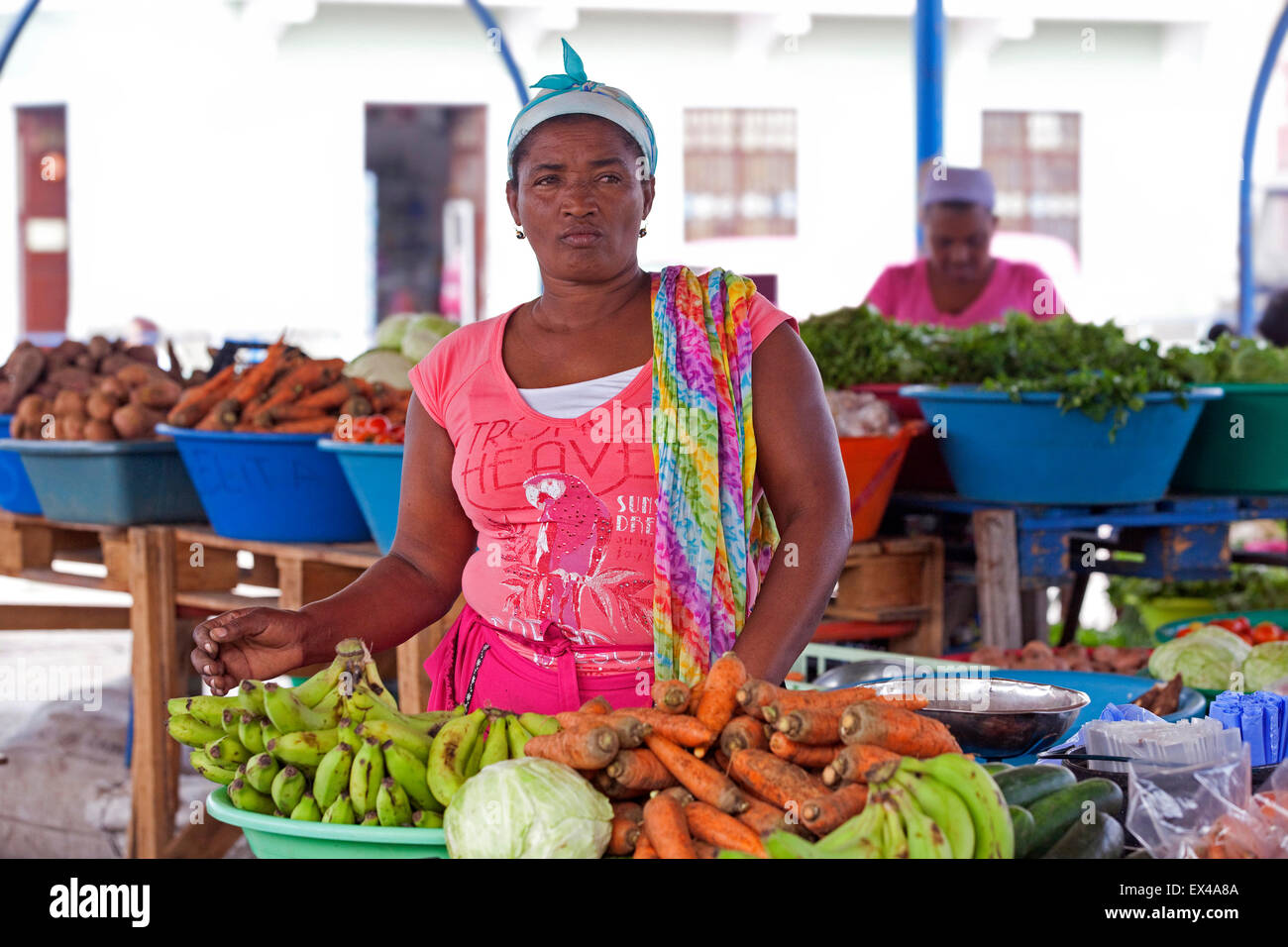 Creole woman selling fresh fruit and vegetables at market in the city ...