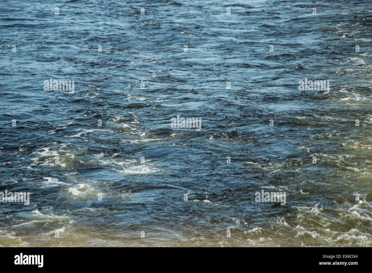 Running over surface water hi-res stock photography and images - Alamy