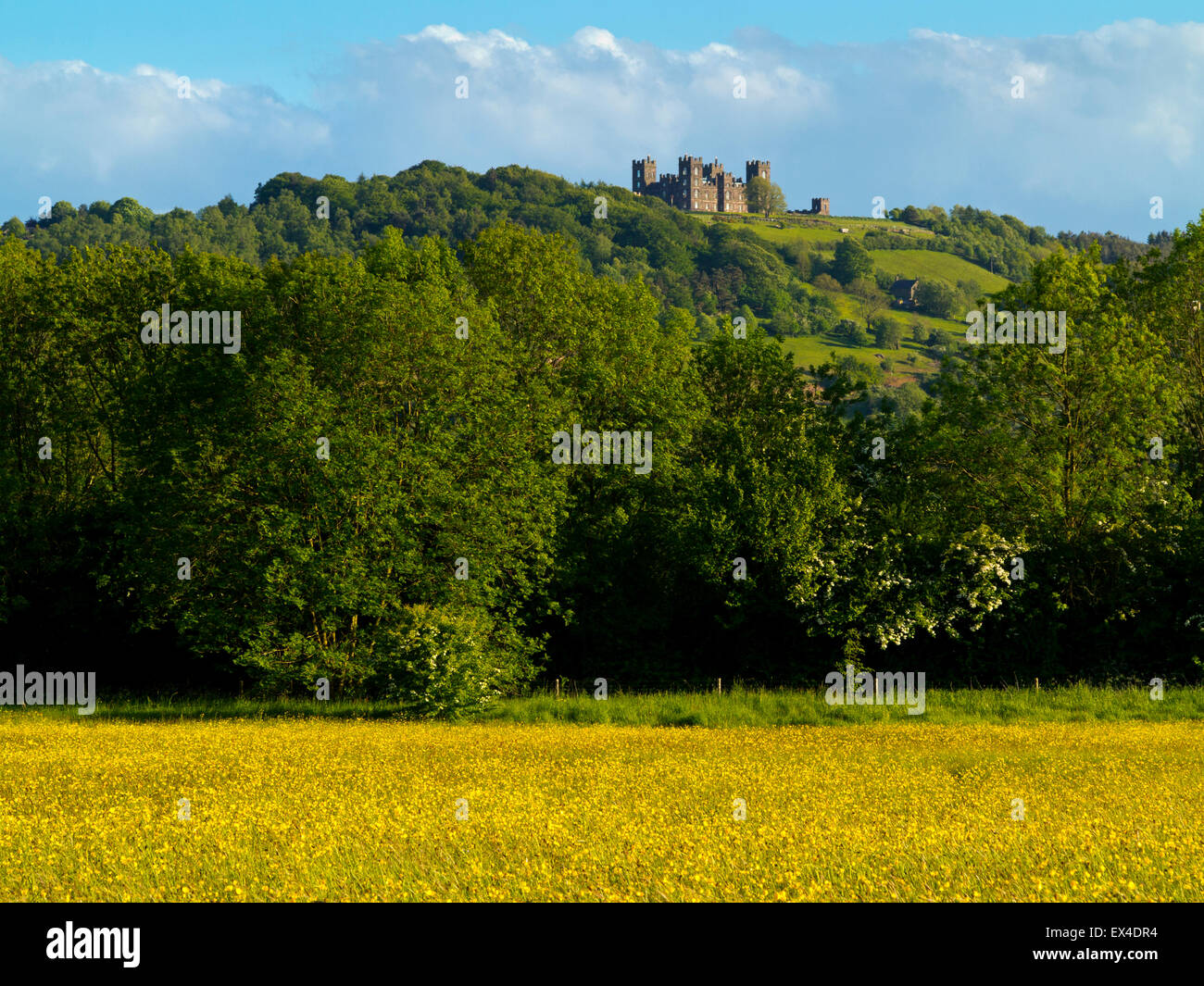 Riber castle fields hi-res stock photography and images - Alamy