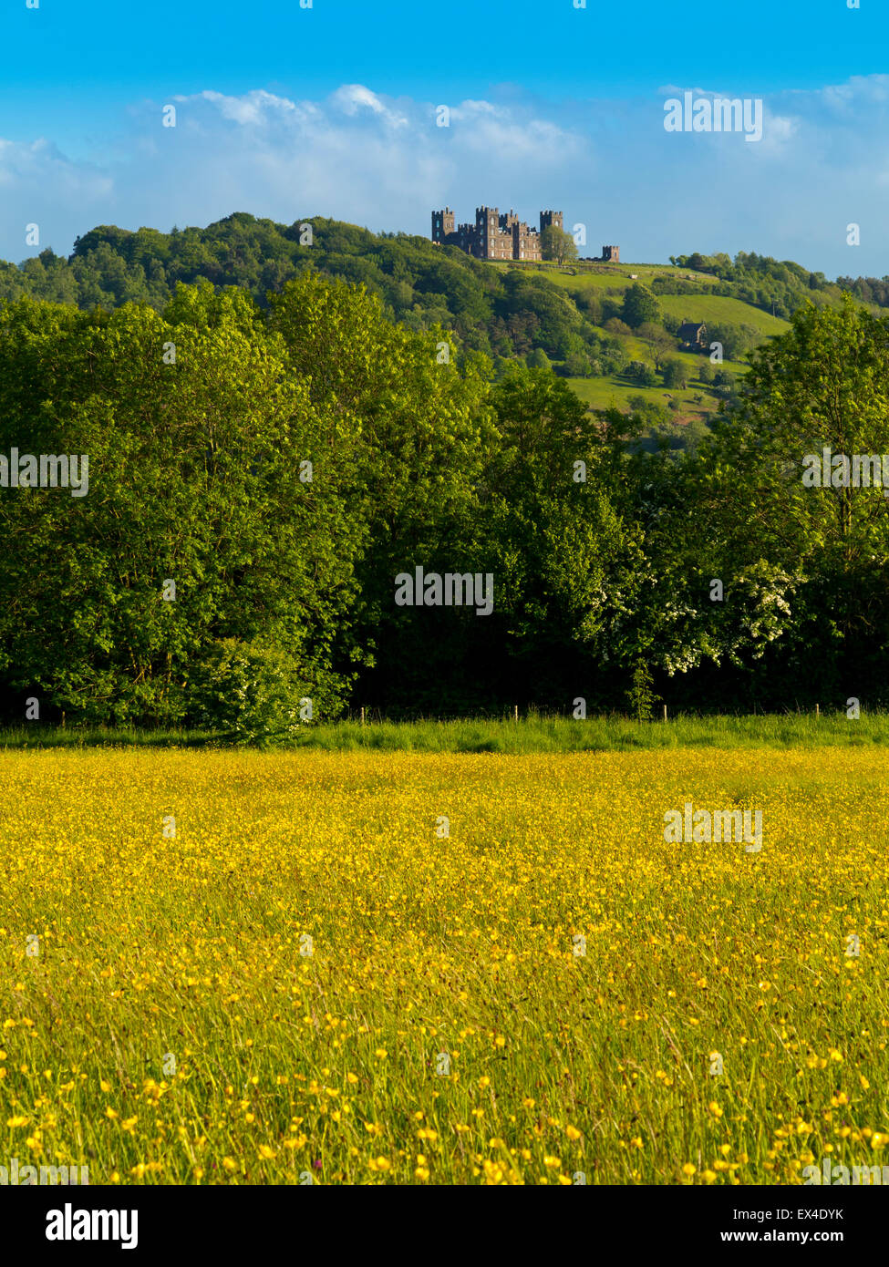 Riber castle fields hi-res stock photography and images - Alamy