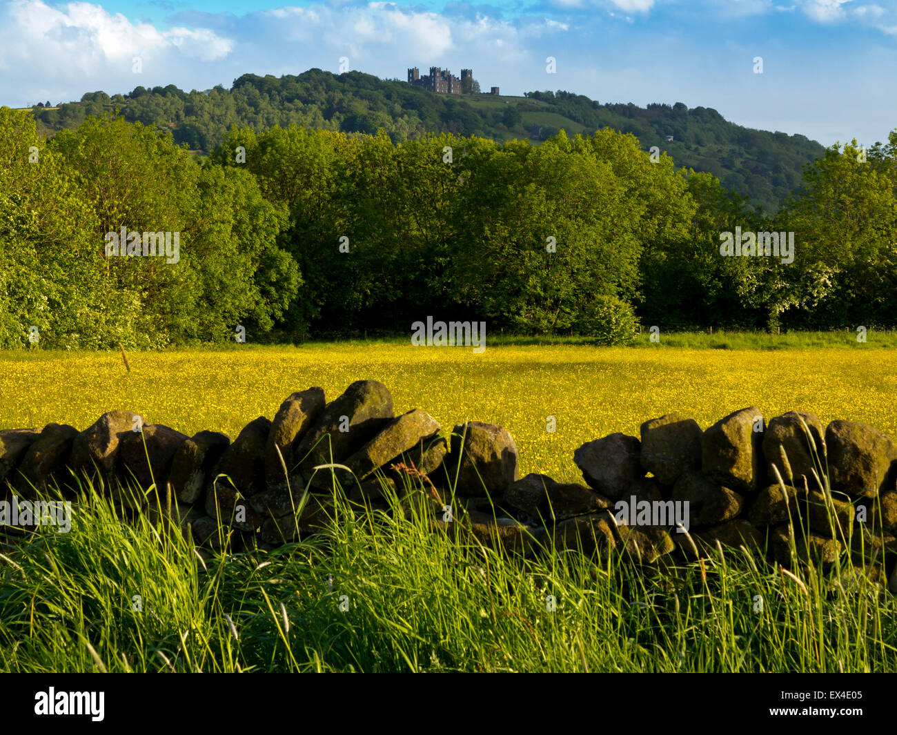 Riber castle fields hi-res stock photography and images - Alamy
