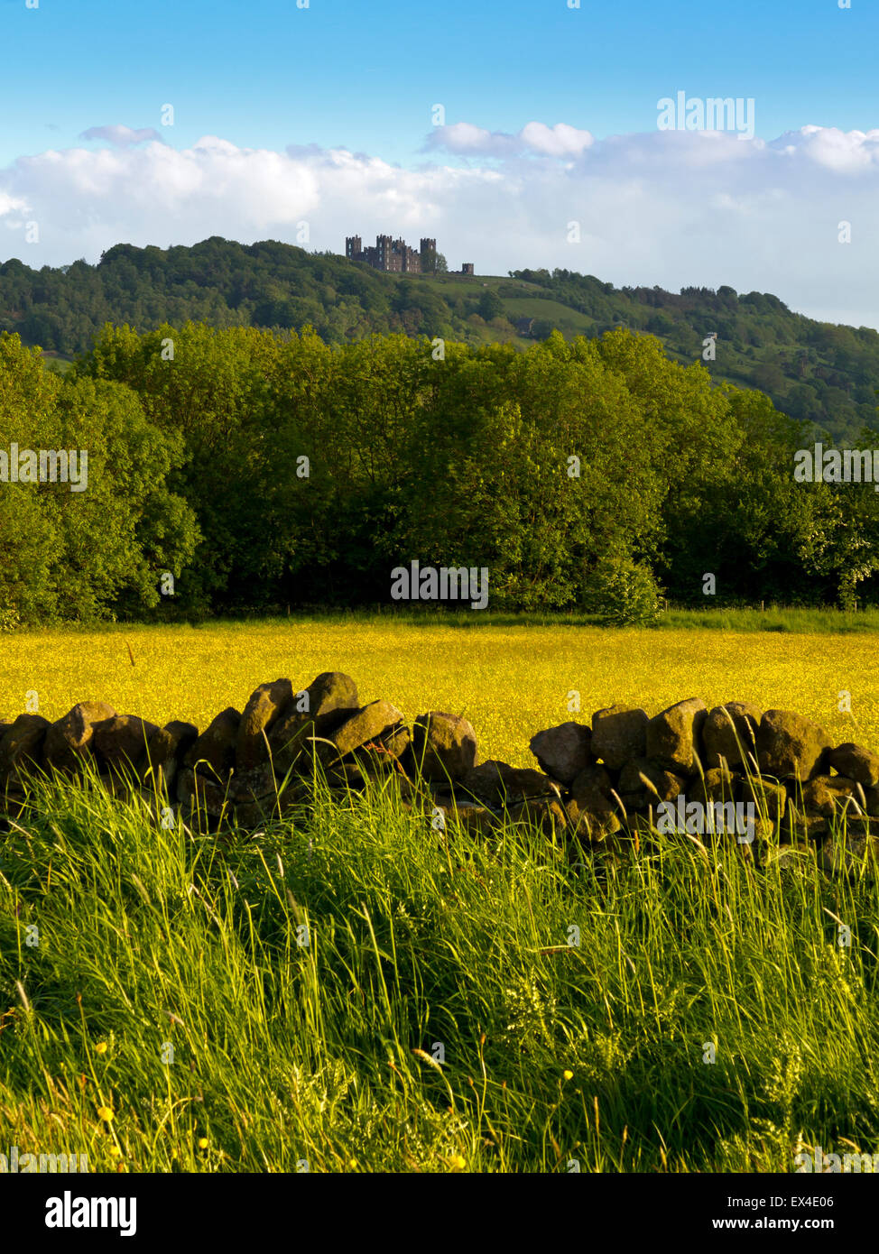 Riber castle view hi-res stock photography and images - Alamy