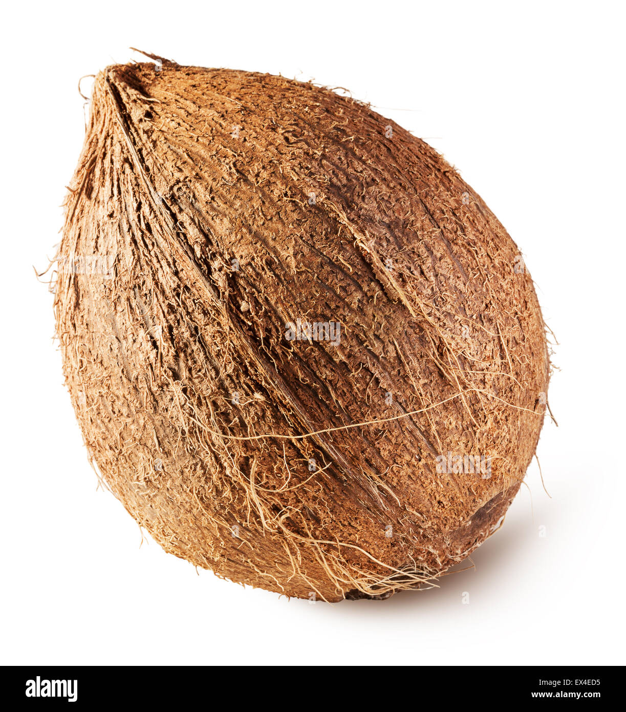 coconut isolated on white background Stock Photo - Alamy