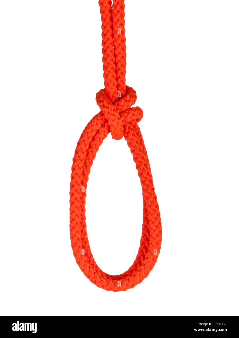 Noose isolated on white. Noose made of rope. Stock image Stock Photo ...