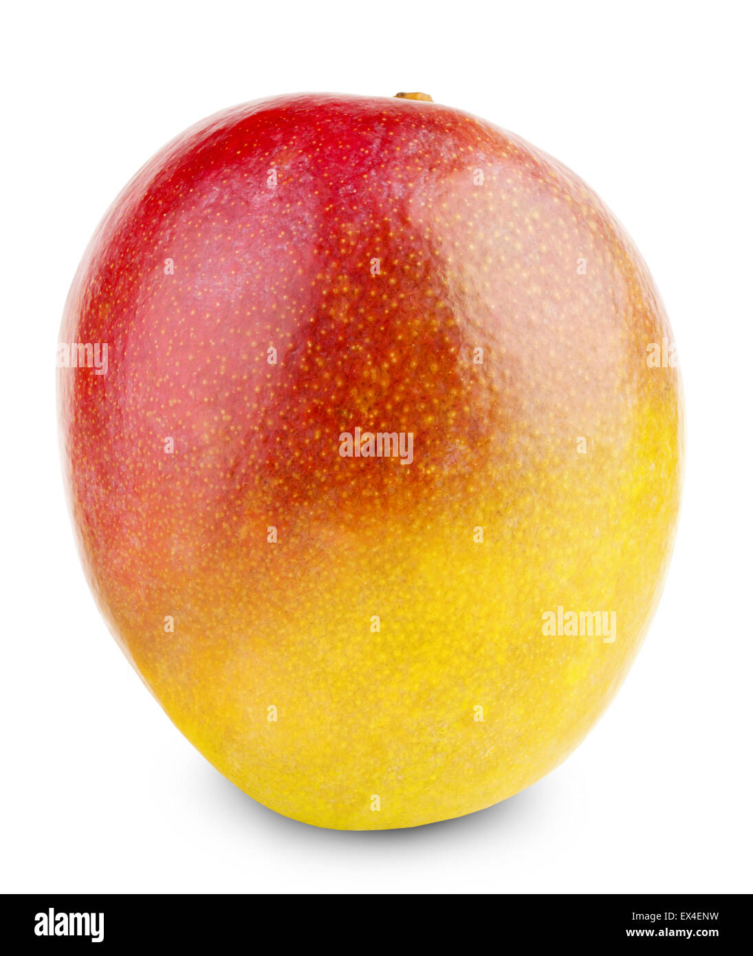 juicy mango isolated on the white background Stock Photo - Alamy