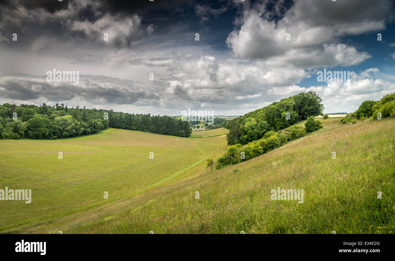 English Summer Meadow Stock Photo - Alamy