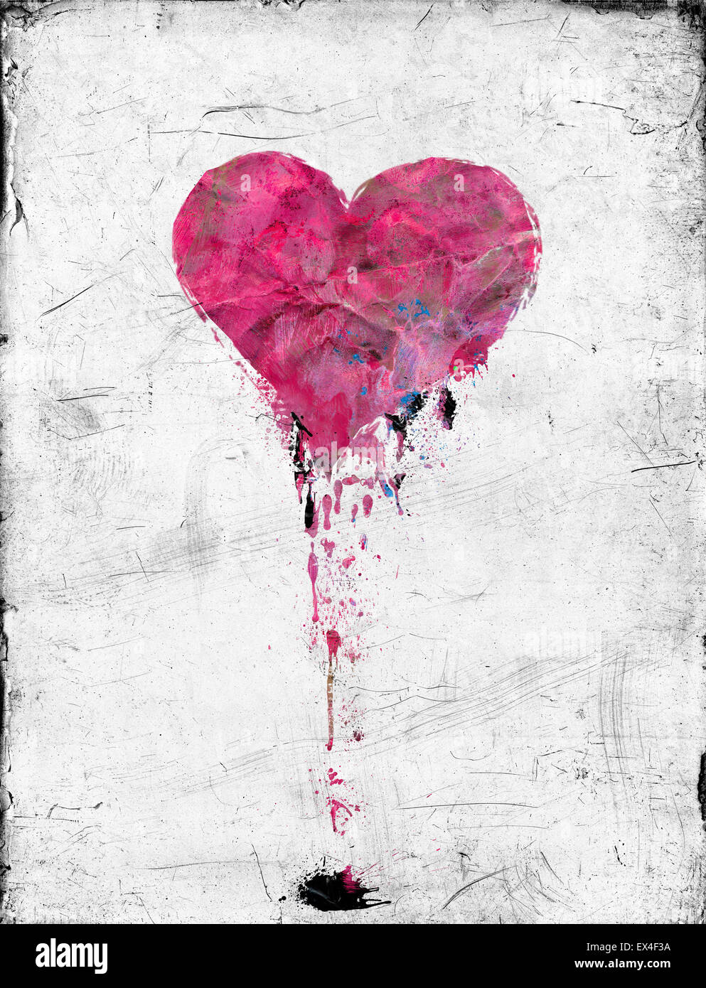 Love lies bleeding Stock Photo - Alamy