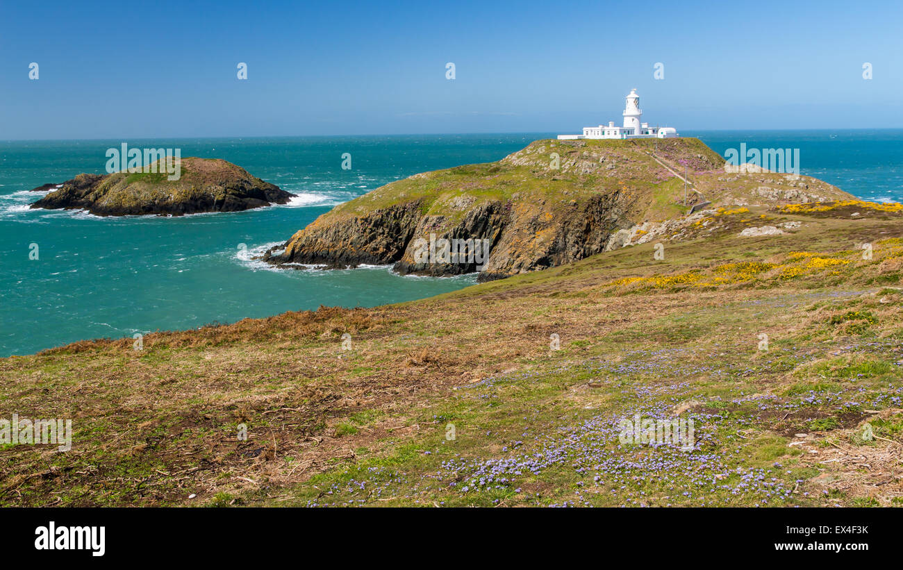 Strumble Head and the 1908 Lighthouse on the Pembrokeshire coast of ...