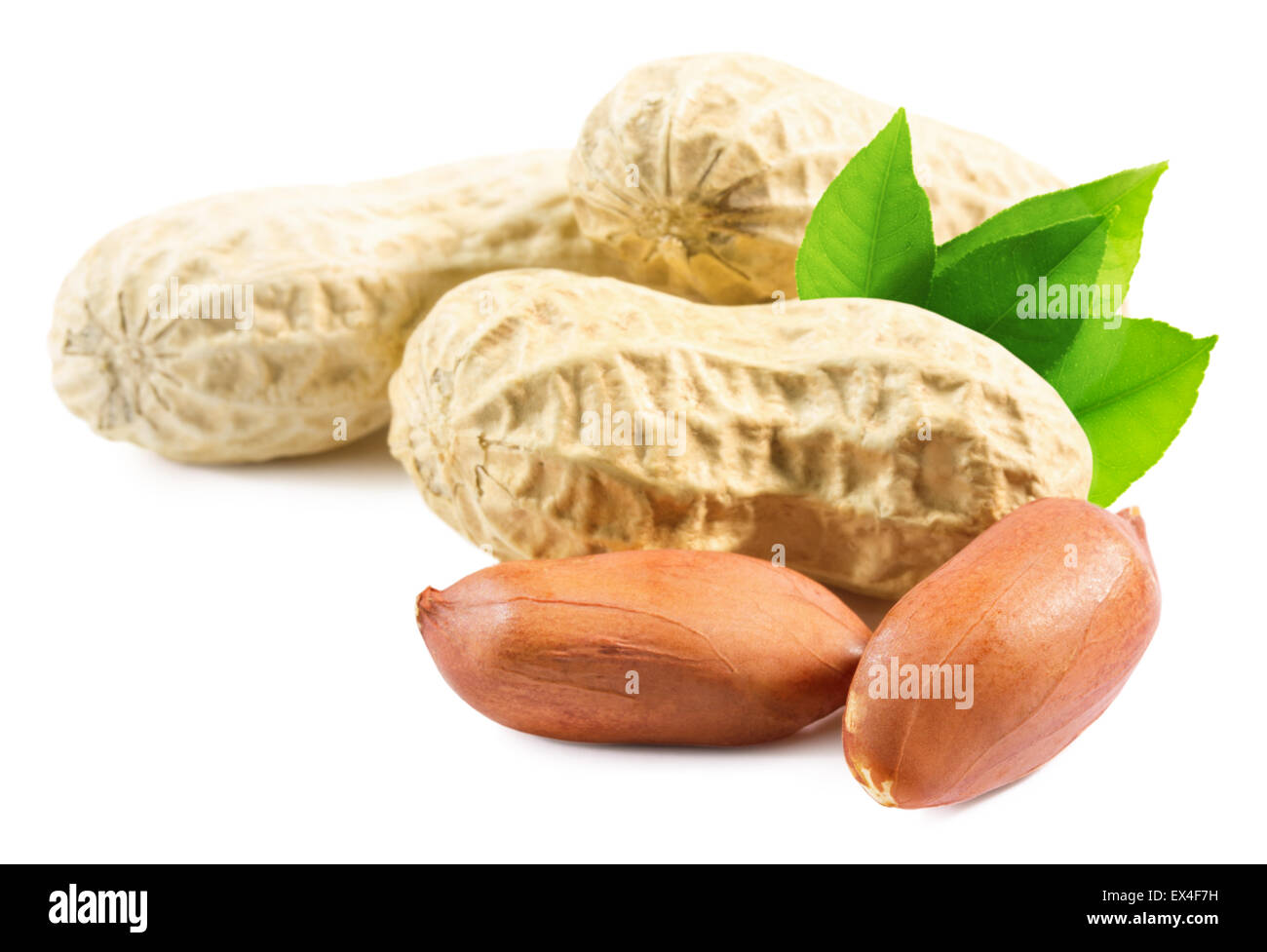 peanuts in shell isolated on the white background Stock Photo - Alamy