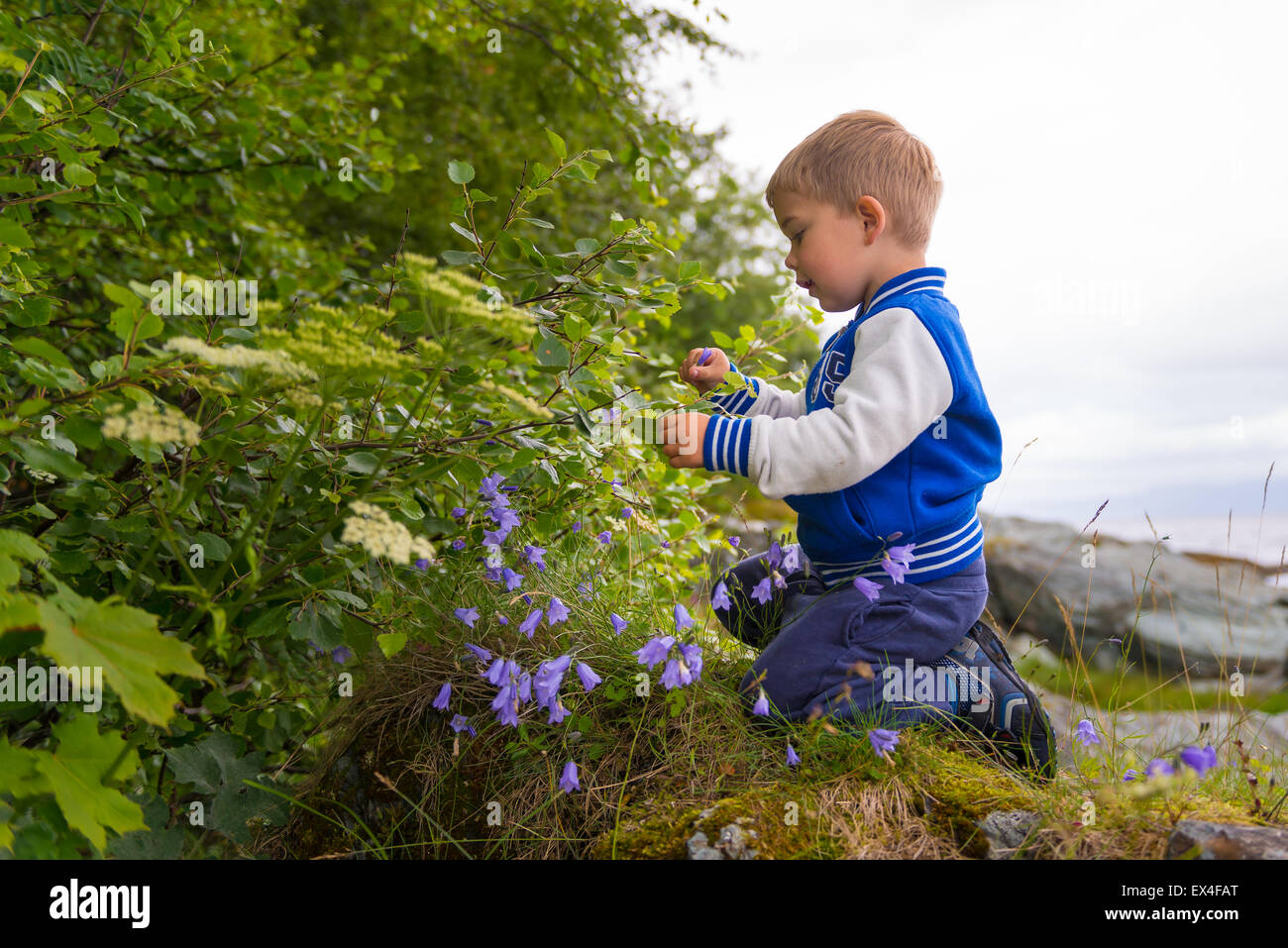 Cute boy picking flowers Stock Photo - Alamy