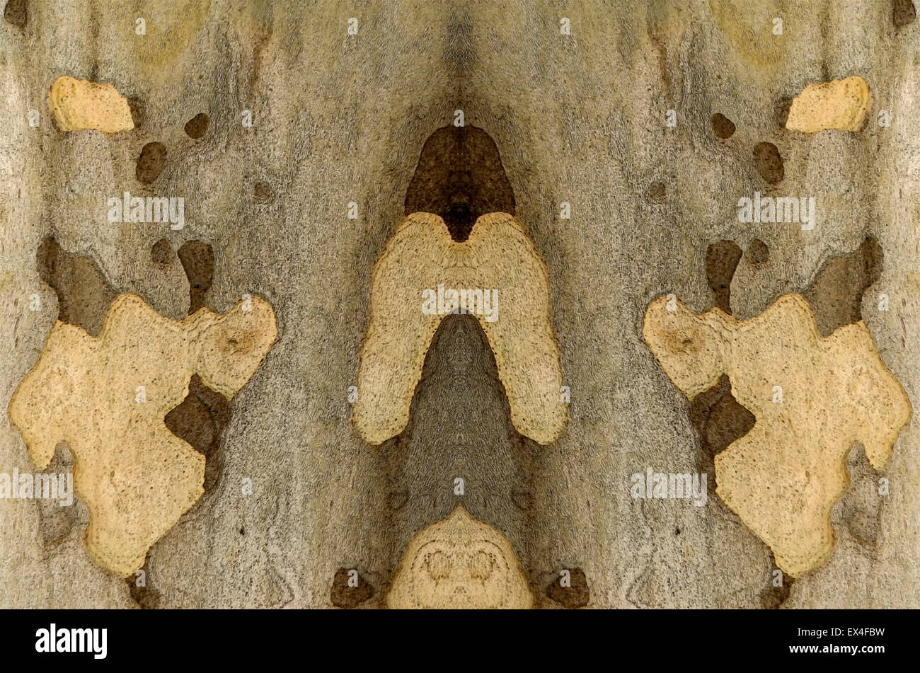 Various bark tree pattern background Stock Photo - Alamy