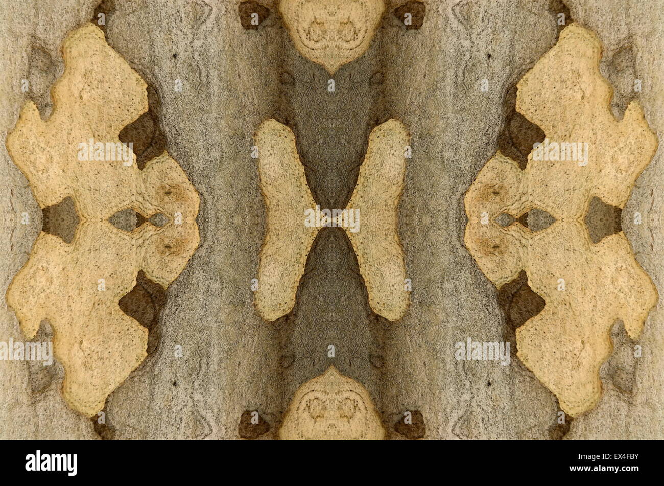 Various bark tree pattern background Stock Photo - Alamy