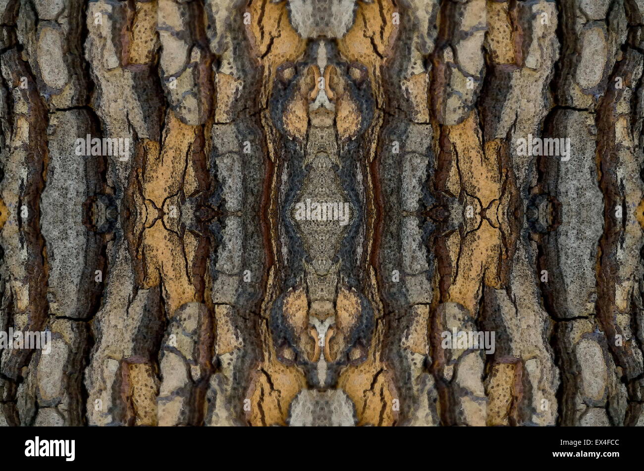 Various bark tree pattern background Stock Photo - Alamy