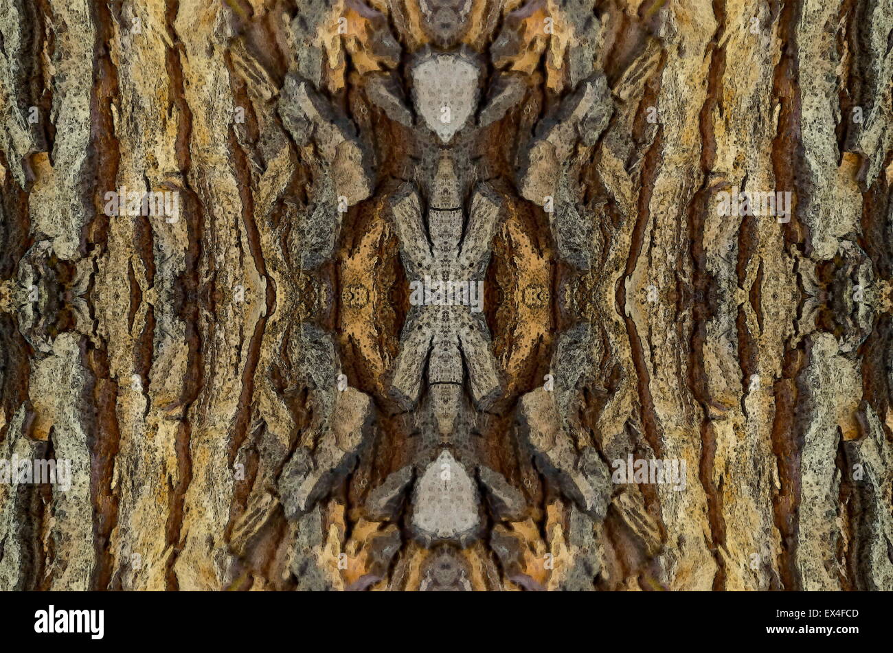 Various bark tree pattern background Stock Photo - Alamy