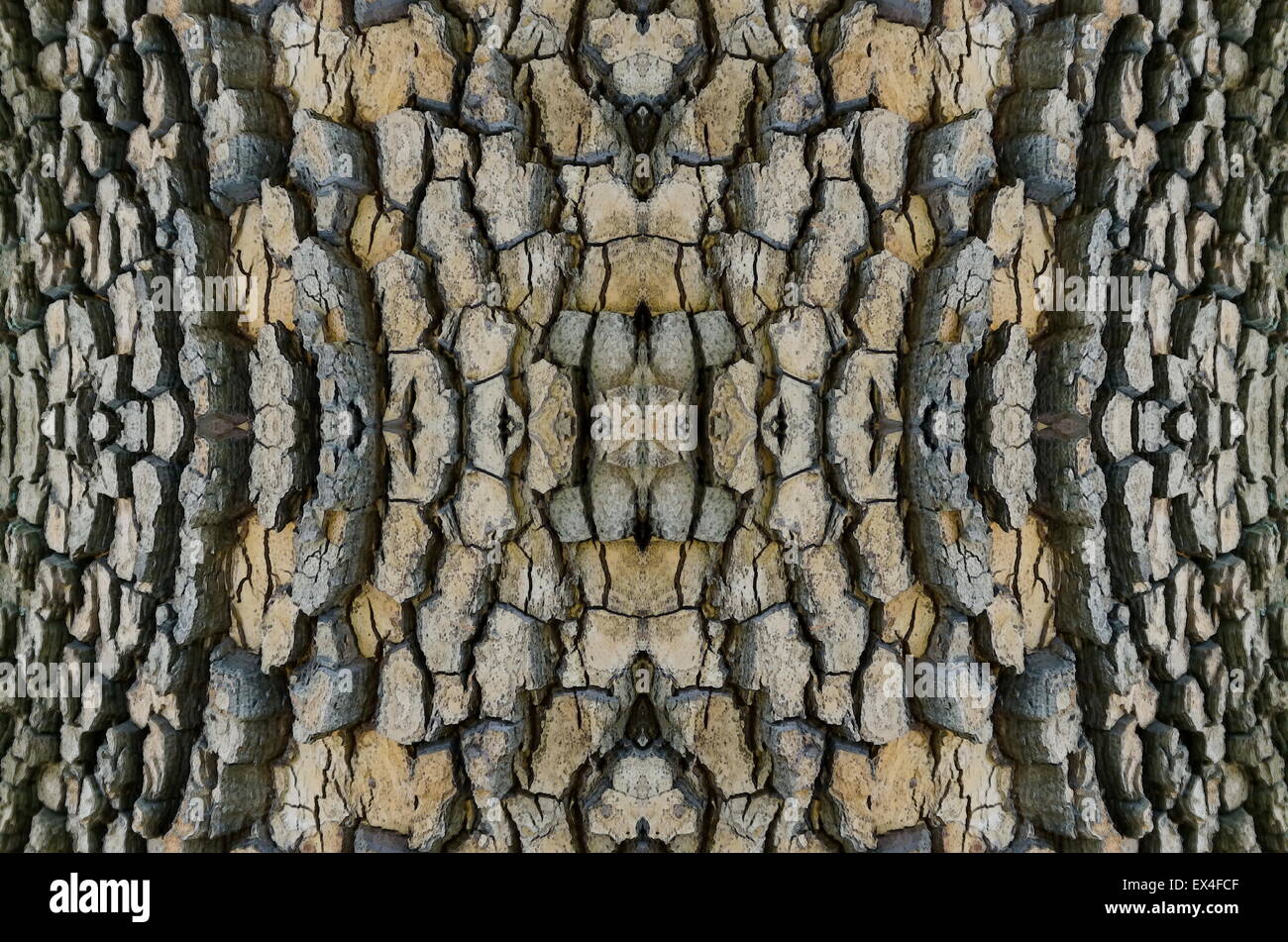 Various bark tree pattern background Stock Photo - Alamy