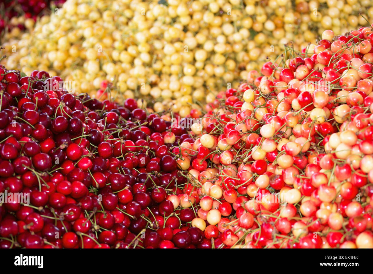 Three types hi-res stock photography and images - Alamy