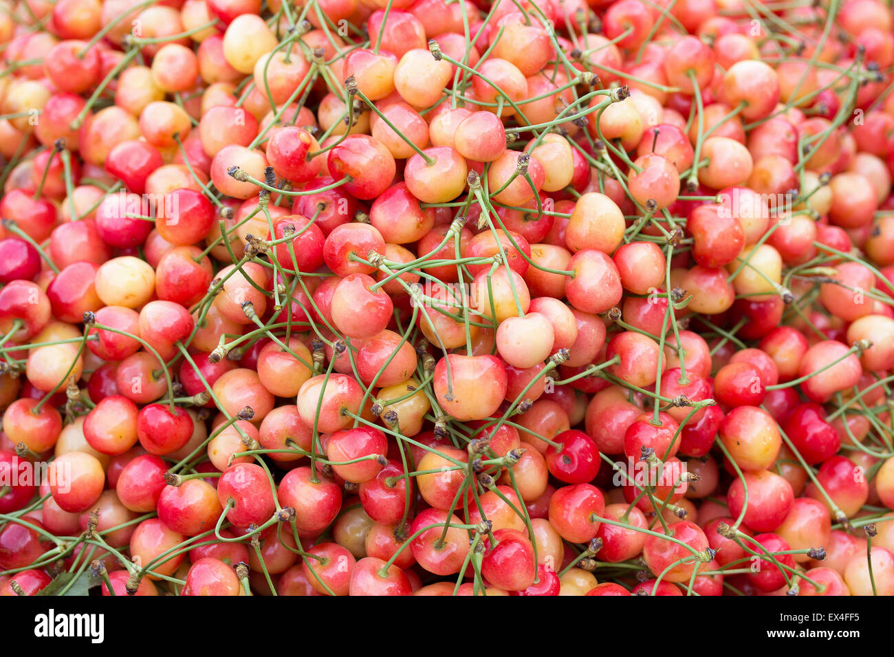 white cherries like a background Stock Photo - Alamy