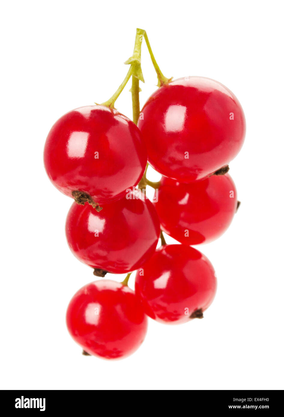 Red white currant sour Cut Out Stock Images & Pictures - Alamy