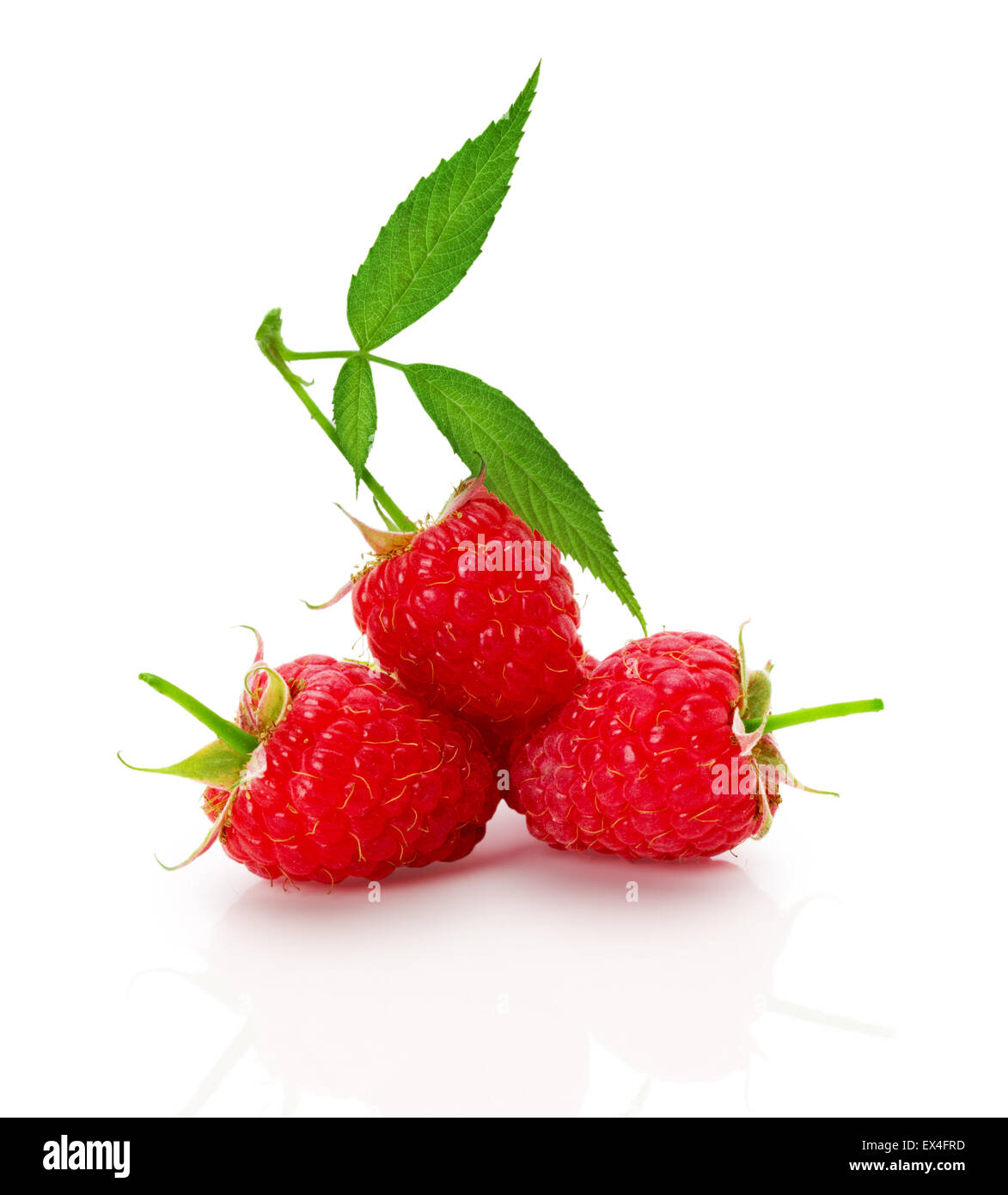 ripe raspberry isolated on the white background Stock Photo - Alamy
