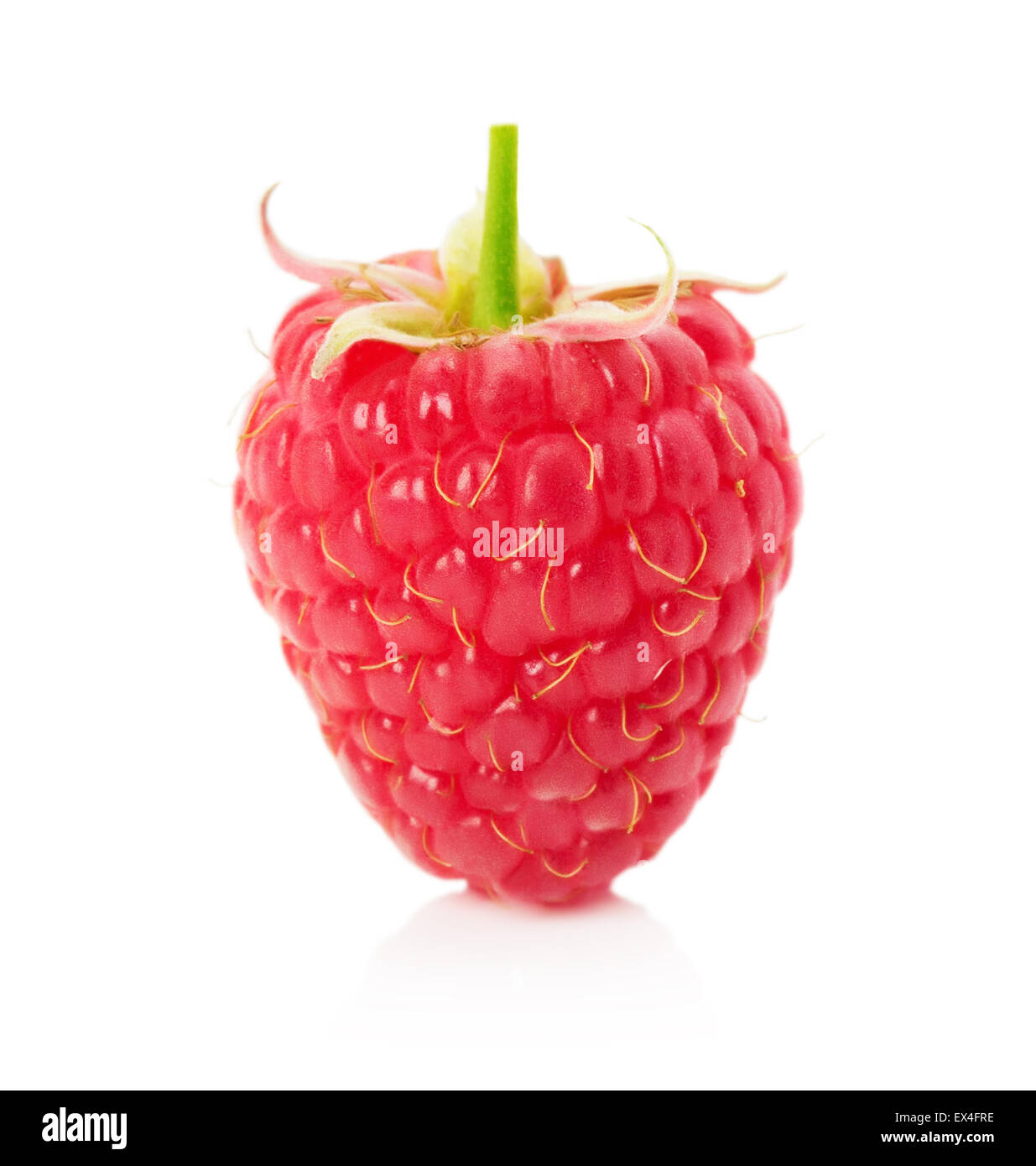 raspberry isolated on the white background Stock Photo - Alamy